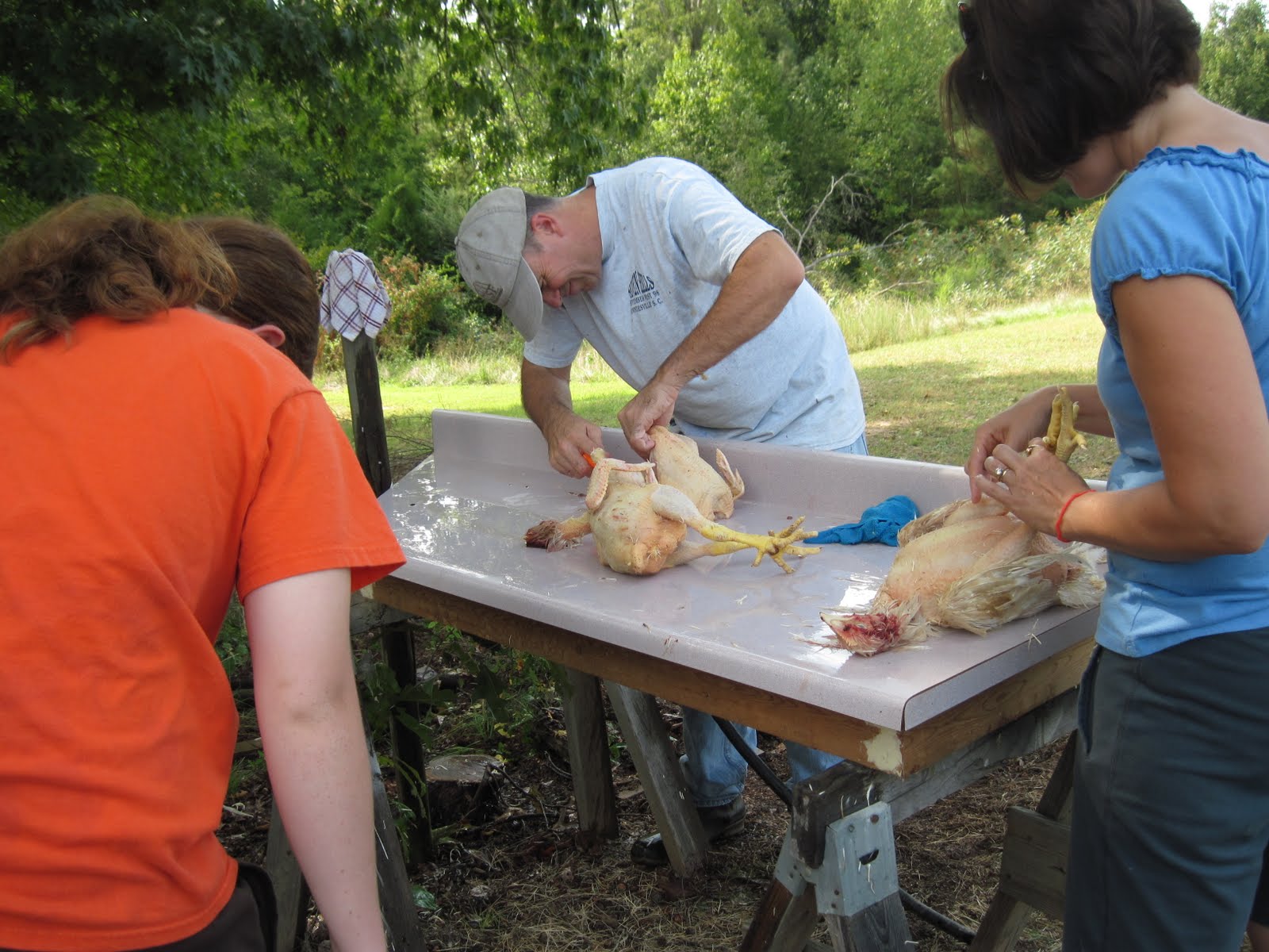 Meat Chickens - Cut, Scald, Pluck, Clean | The Twenty-eight Eleven