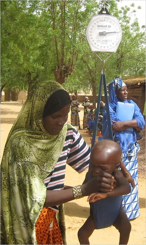 Ferdjinsights: Hunger Crisis in Niger