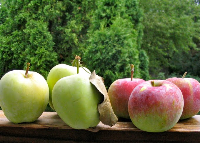 Harbingers of an early harvest - Adam's Apples