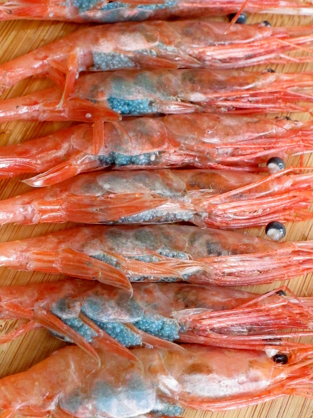 electric (blue) ladyland