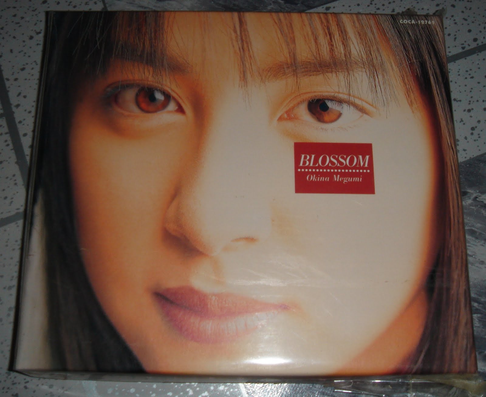 SKY ZONE: 奧菜惠 okina megumi JP Music CD