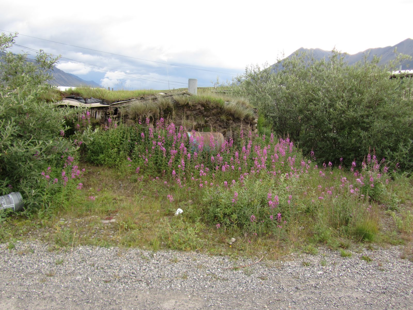 My Feet Dream of Wandering: A visit to the last remaining Nunamiut ...