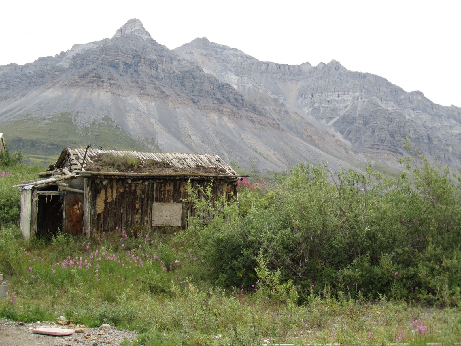 My Feet Dream of Wandering: A visit to the last remaining Nunamiut ...