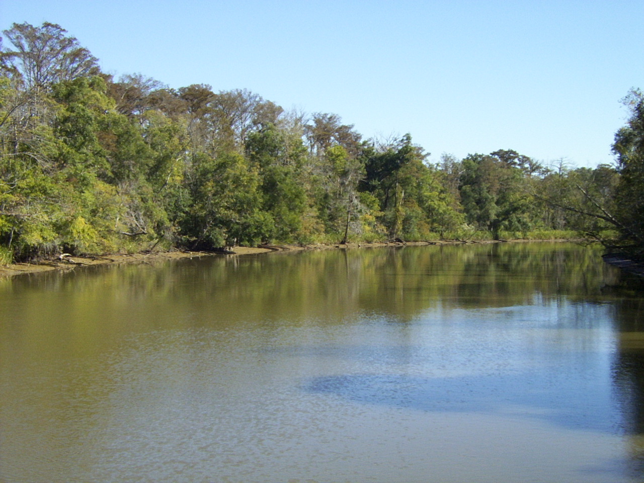 Q's End: Licence to Travel: The Real South, Big Bayou Canot