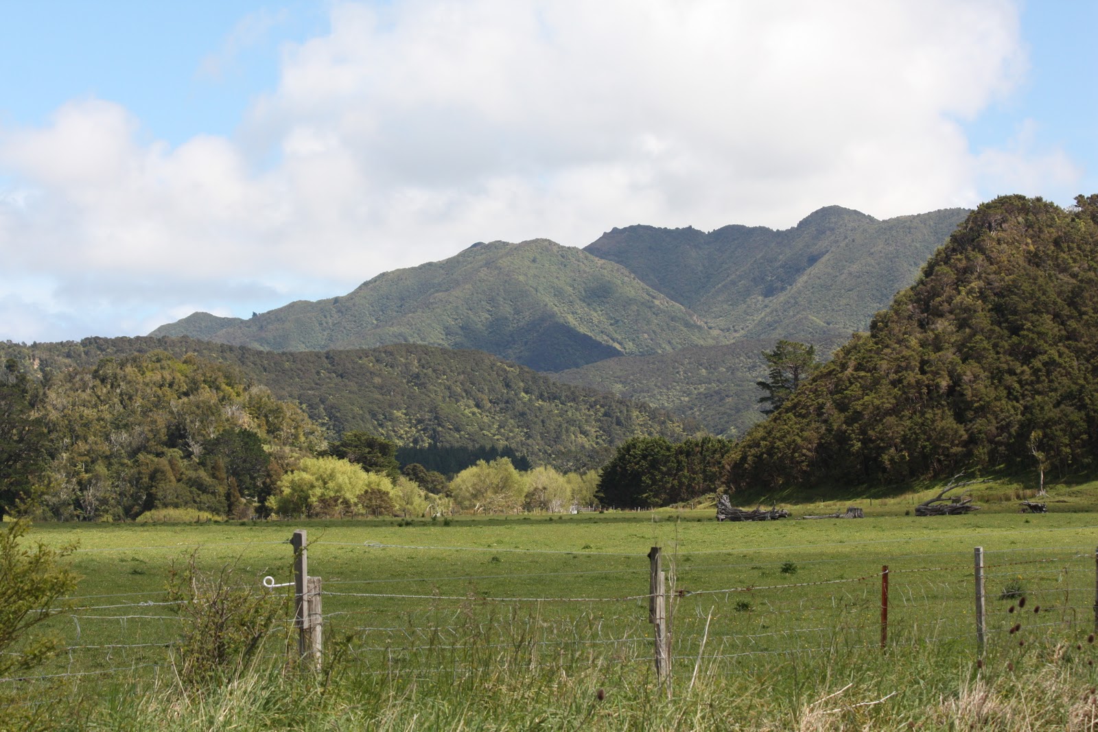 THE KIWI KRONICLES: Day 35 Te Kaha, Hicks Bay, East Cape Lighthouse and ...