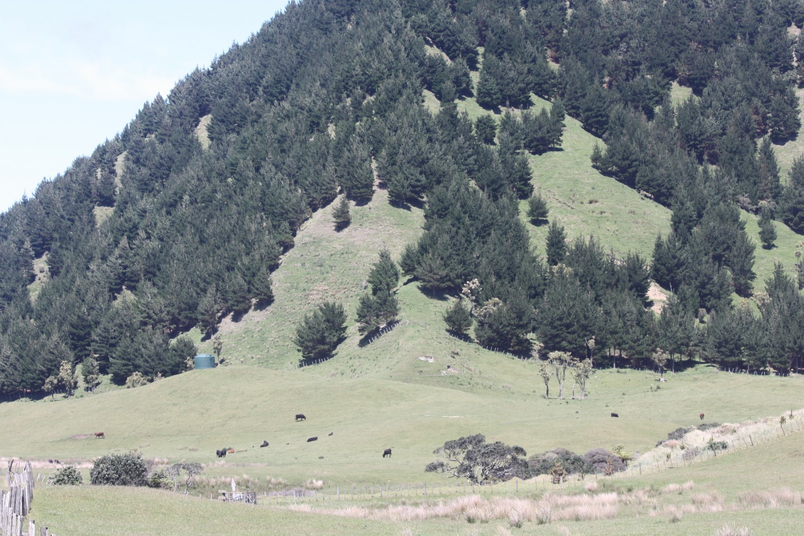 THE KIWI KRONICLES: Day 35 Te Kaha, Hicks Bay, East Cape Lighthouse and ...