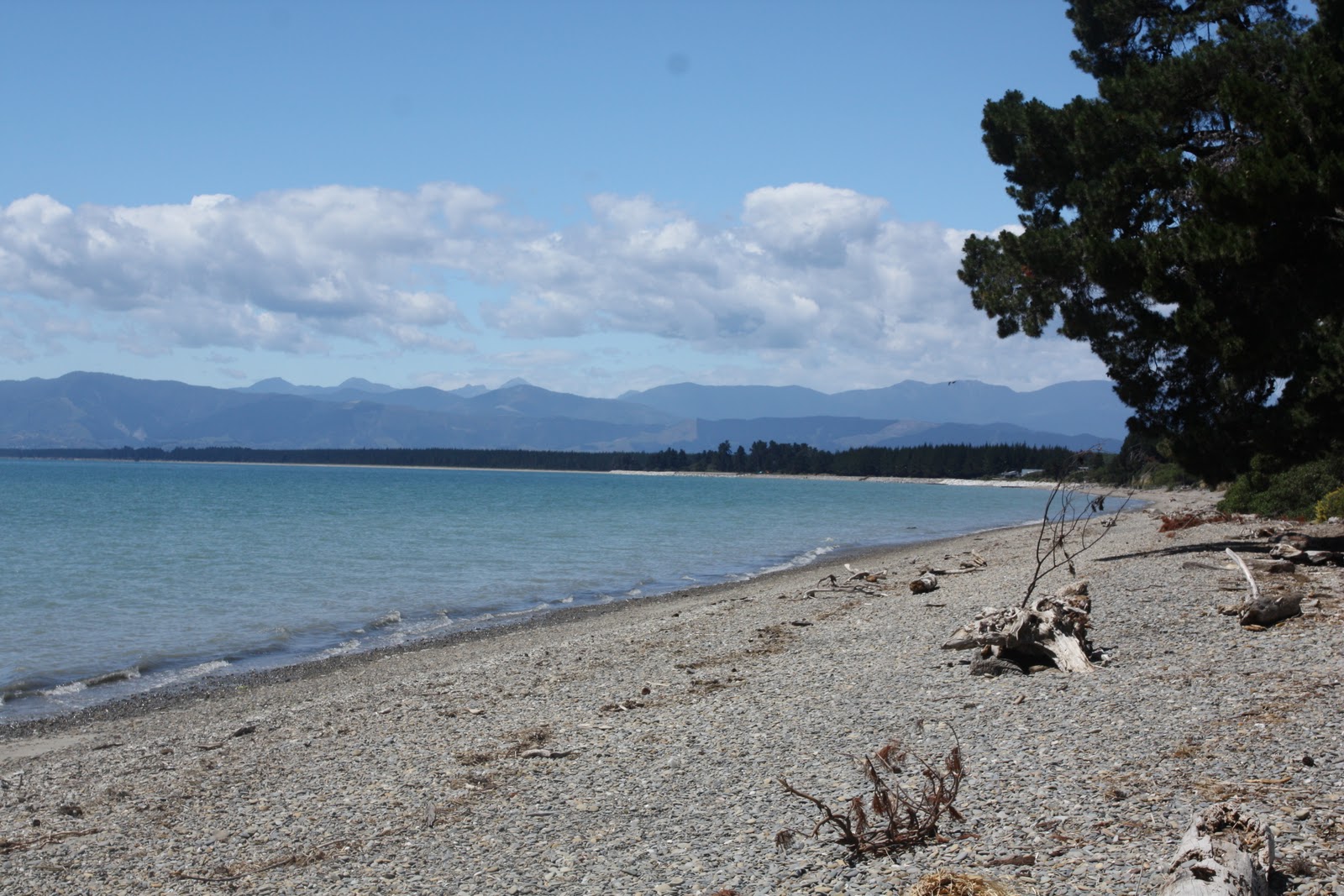 THE KIWI KRONICLES: Day 57 Ruby Bay, St. Arnaud, Nelson Lakes National ...