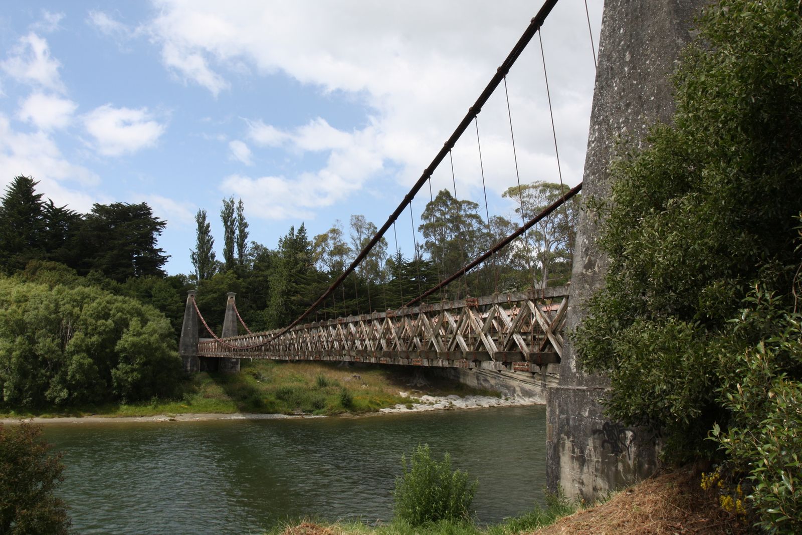 THE KIWI KRONICLES: Day 95 Te Anau, Totara Forest, Invercargill