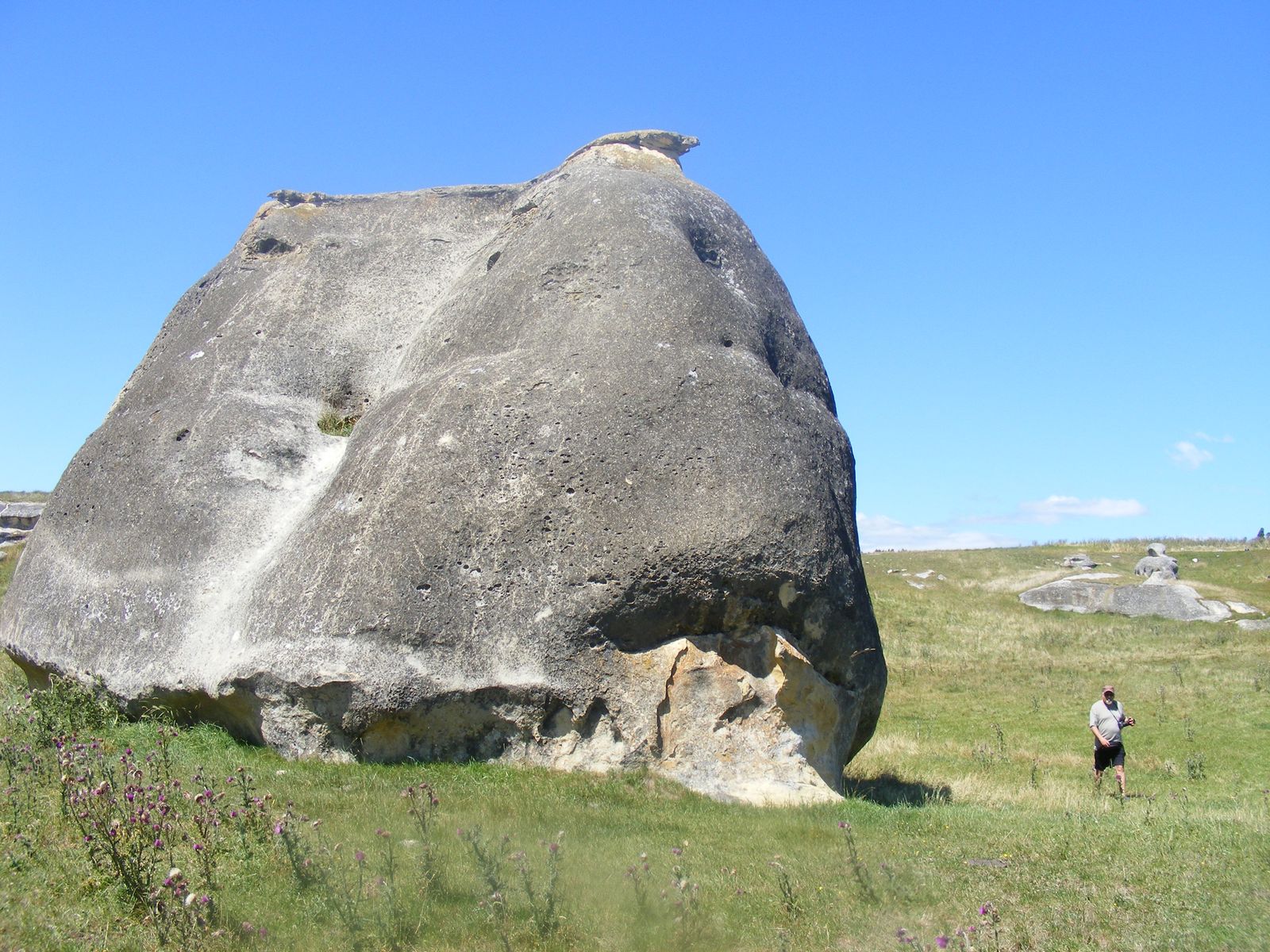 THE KIWI KRONICLES: Day 125 Waitaki Valley, Vanished World Fossil Trail ...