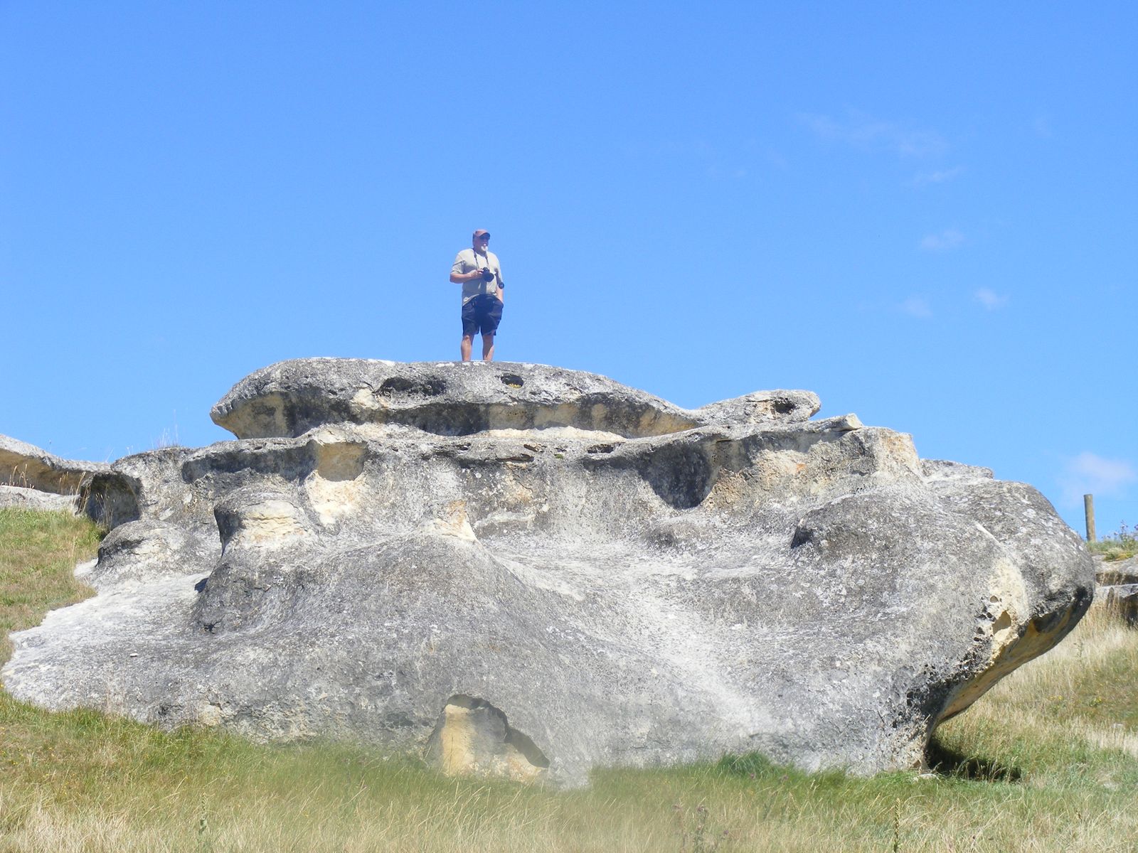 THE KIWI KRONICLES: Day 125 Waitaki Valley, Vanished World Fossil Trail ...