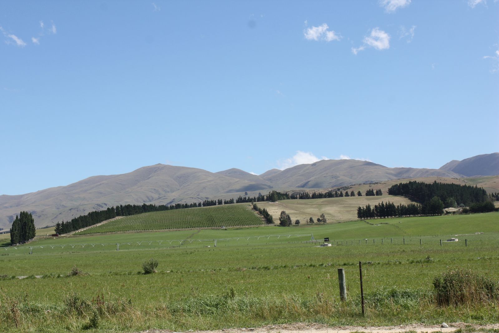 THE KIWI KRONICLES: Day 125 Waitaki Valley, Vanished World Fossil Trail ...
