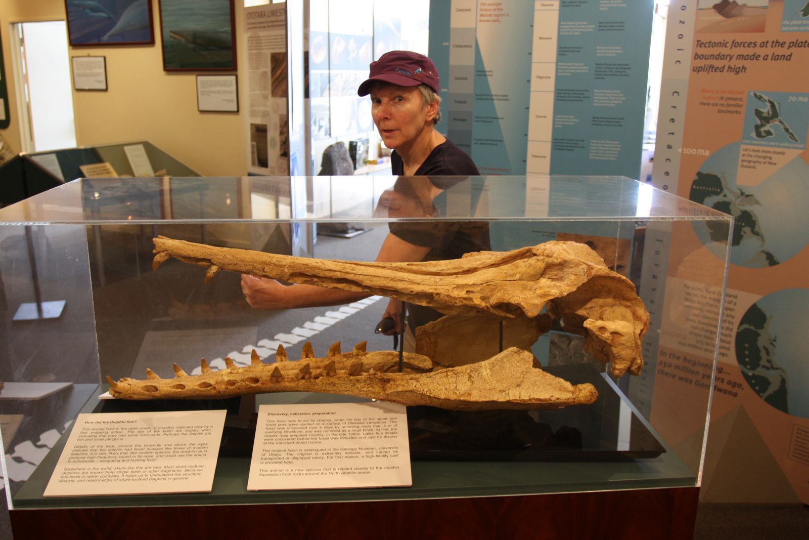 THE KIWI KRONICLES: Day 125 Waitaki Valley, Vanished World Fossil Trail ...