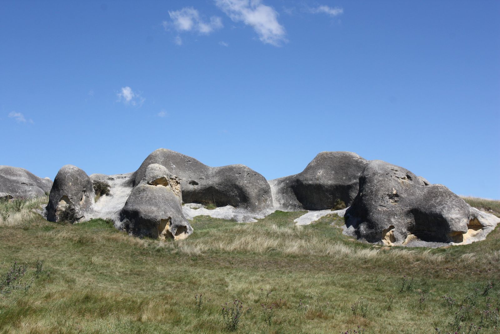 THE KIWI KRONICLES: Day 125 Waitaki Valley, Vanished World Fossil Trail ...