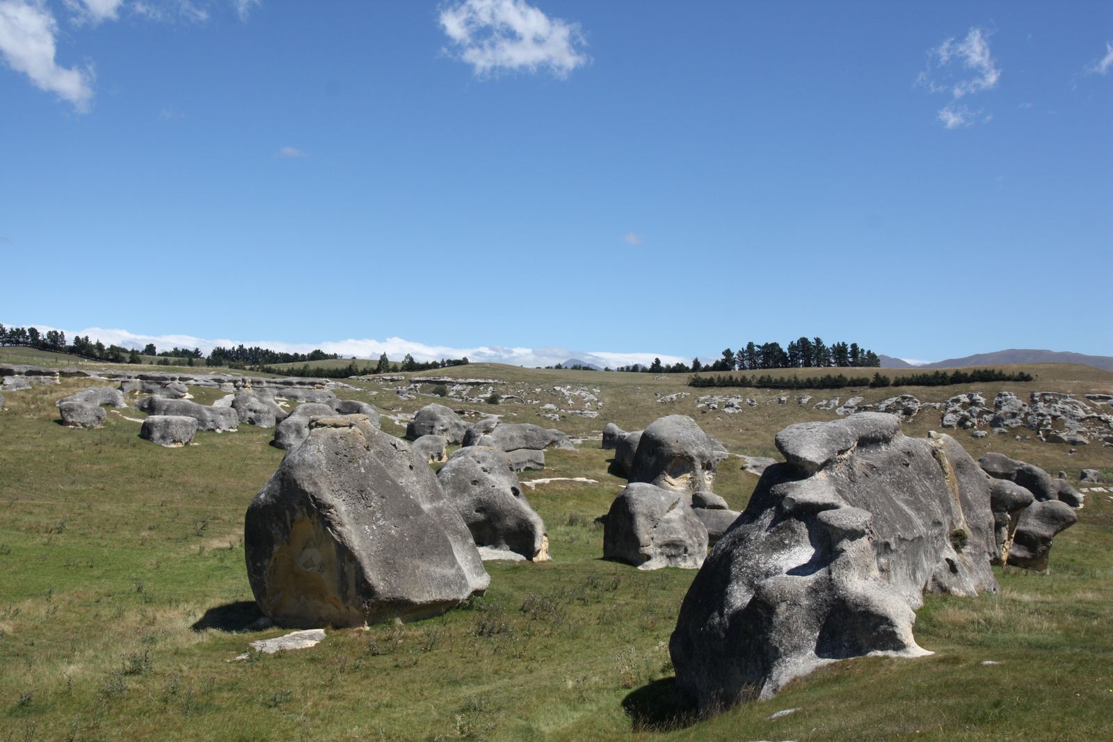 THE KIWI KRONICLES: Day 125 Waitaki Valley, Vanished World Fossil Trail ...