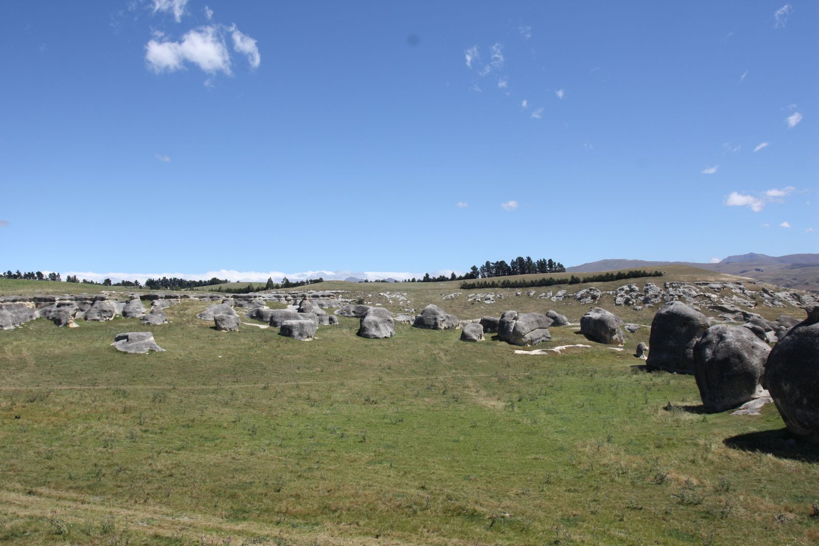 THE KIWI KRONICLES: Day 125 Waitaki Valley, Vanished World Fossil Trail ...