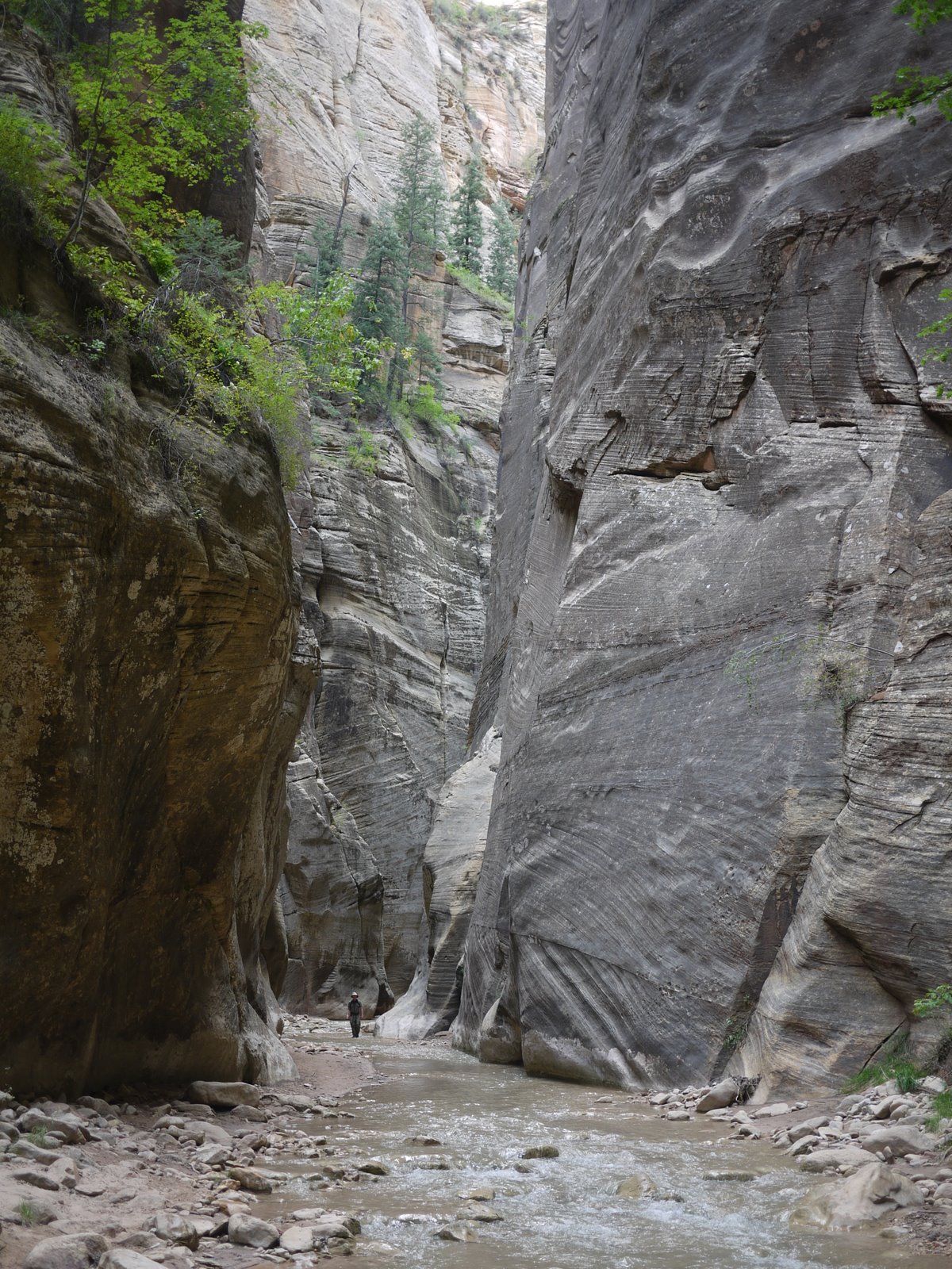 Skeedattle: Narrow Canyons