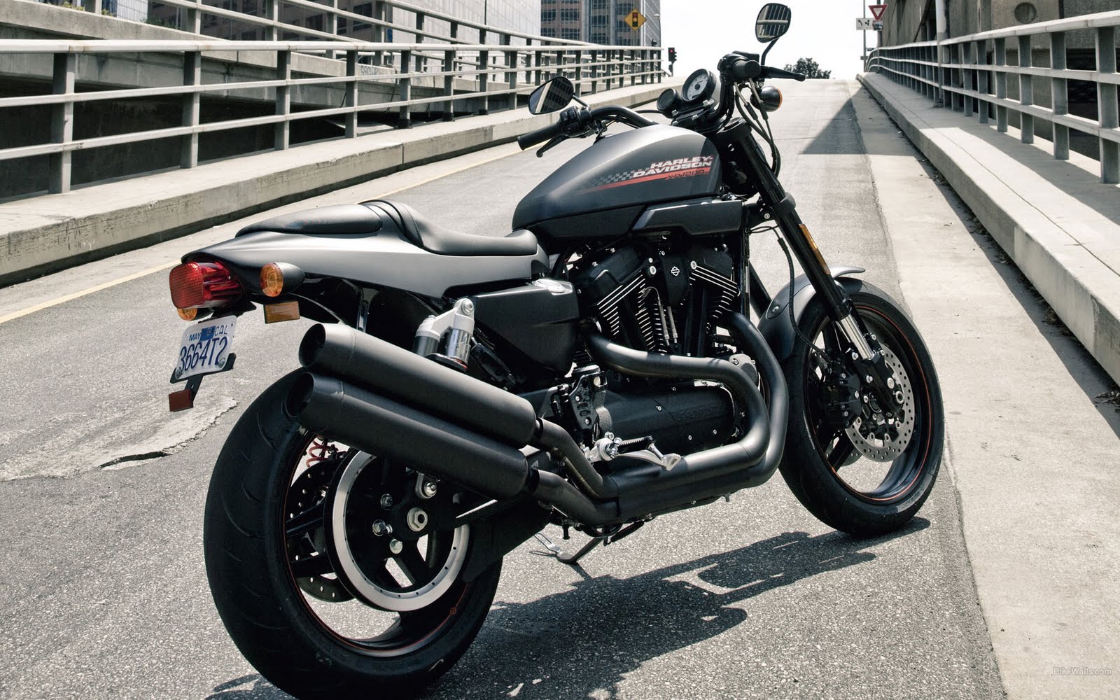 FREEZER BIKES: 2010 HD_XR1200X