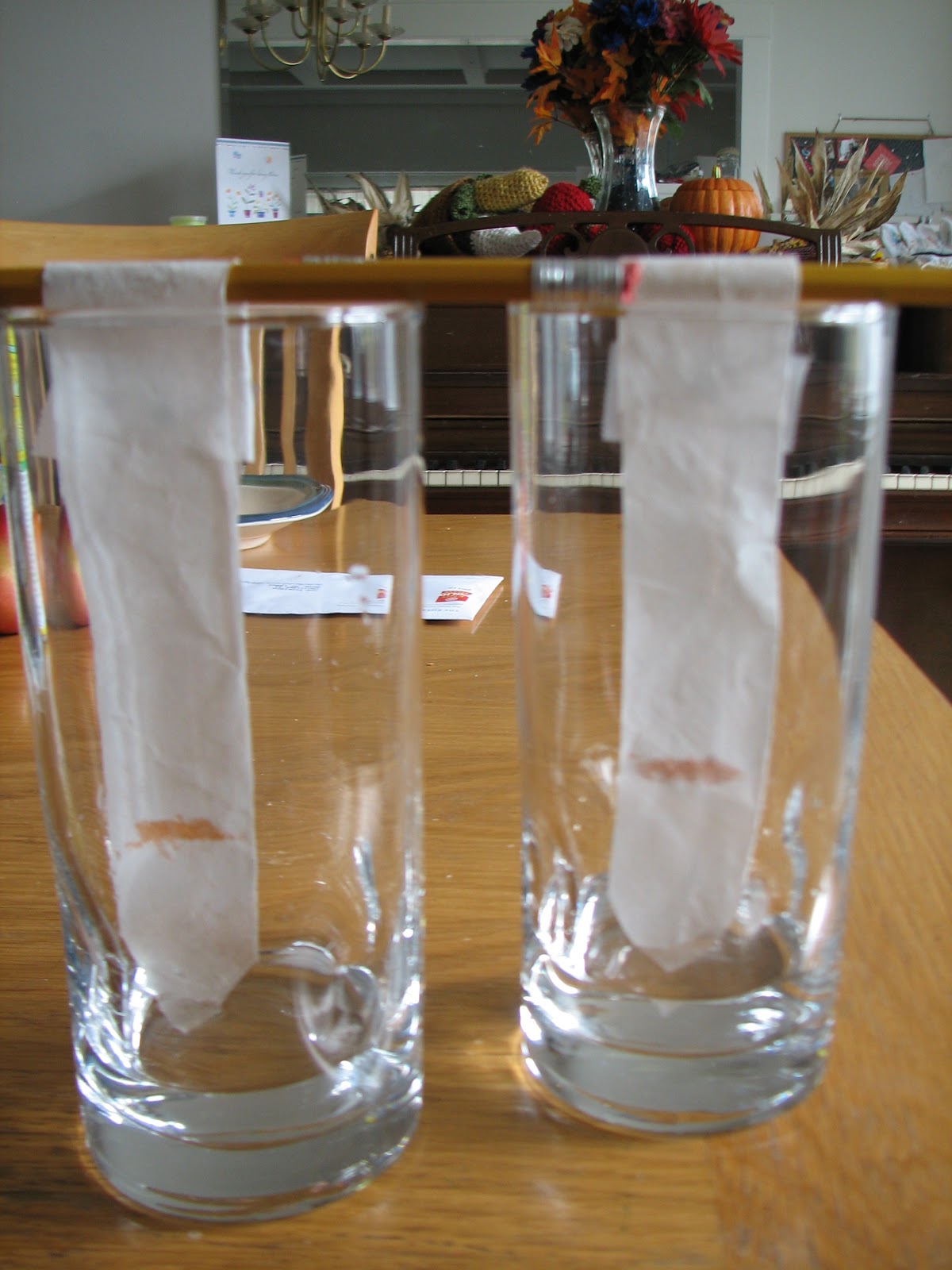 Science Matters: Chromatography: Which is Which?