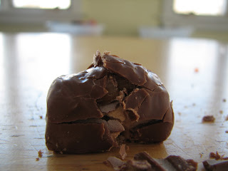 Science Matters: Plate Tectonics: Candy Bar Faults