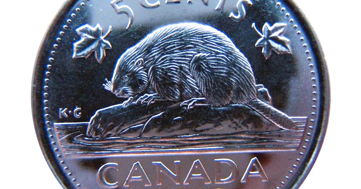 Beaver Pictures: Canadian beaver symbol