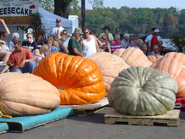 World's gigantic vegetables