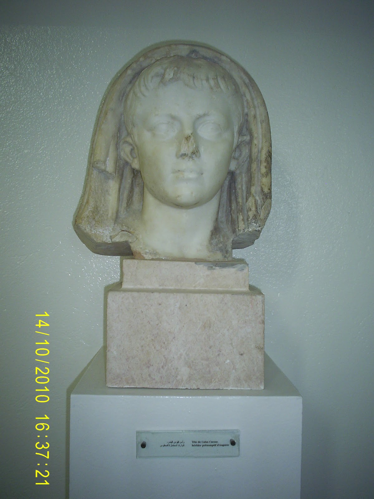 Ne mutlu Türküm diyene!: KARTACA ADAMI