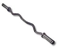 Bodybuilding & Fitness Workouts: Bicep Workout