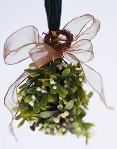 Herberia del Corso: Tradizioni erboristiche del Natale / Yule