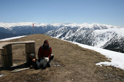 Blog d'en Litus: Pic Cap del Cubil 2358 m. desde el Coll de la Botella ...