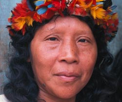 I'm Curious Too: Uncontacted Tribes