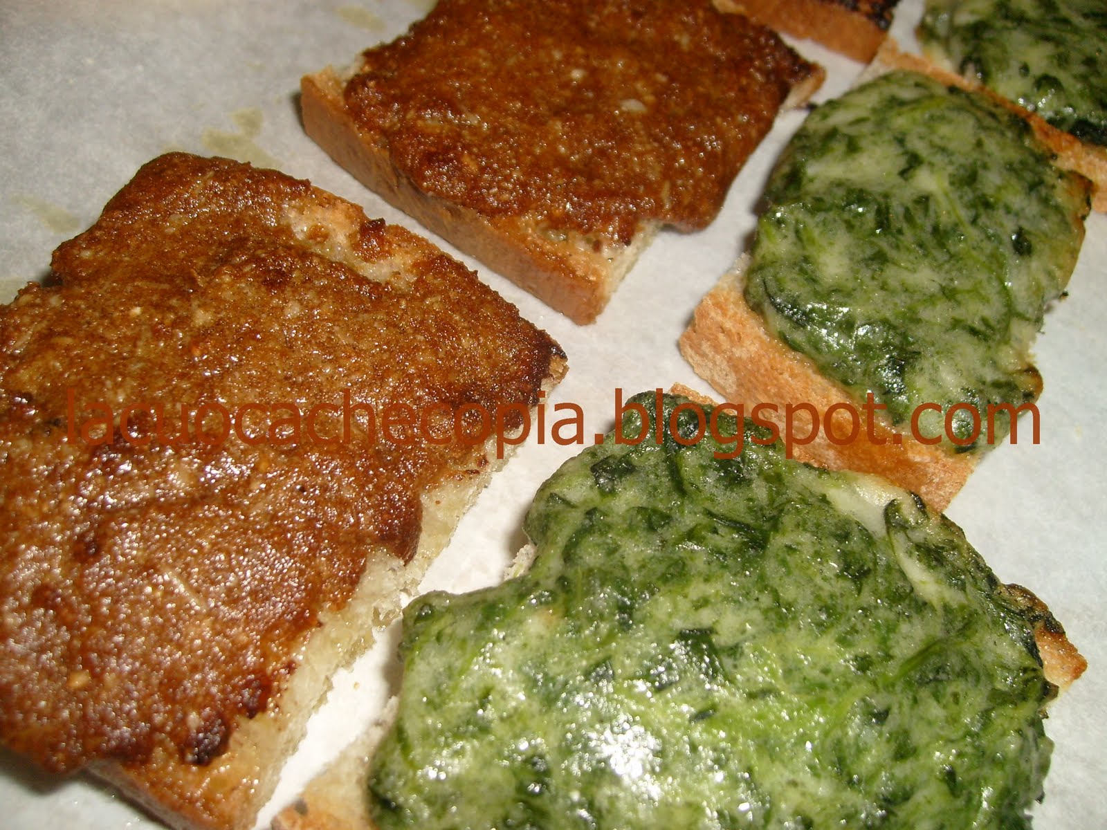 La Cuoca che Copia: Crostini caldi di spinaci e stracchino e crostini ...