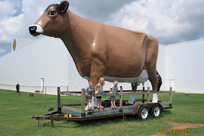 the owens family and co.: Mayfield Dairy field trip!