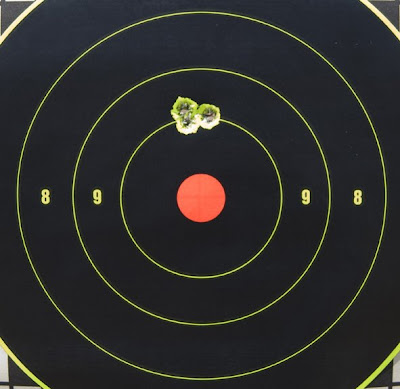 NorCal Cazadora: So THAT'S what they mean by 'tight group'