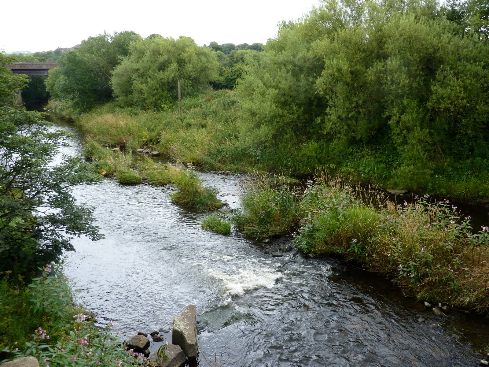 RAMBLER: River Irwell