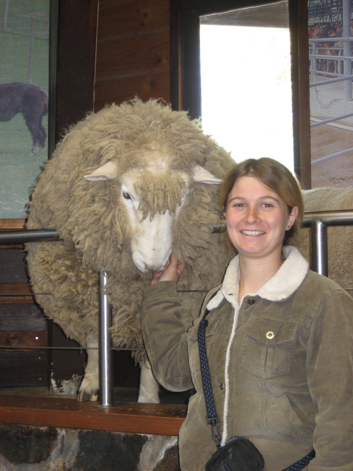 New Zealand: Agrodome