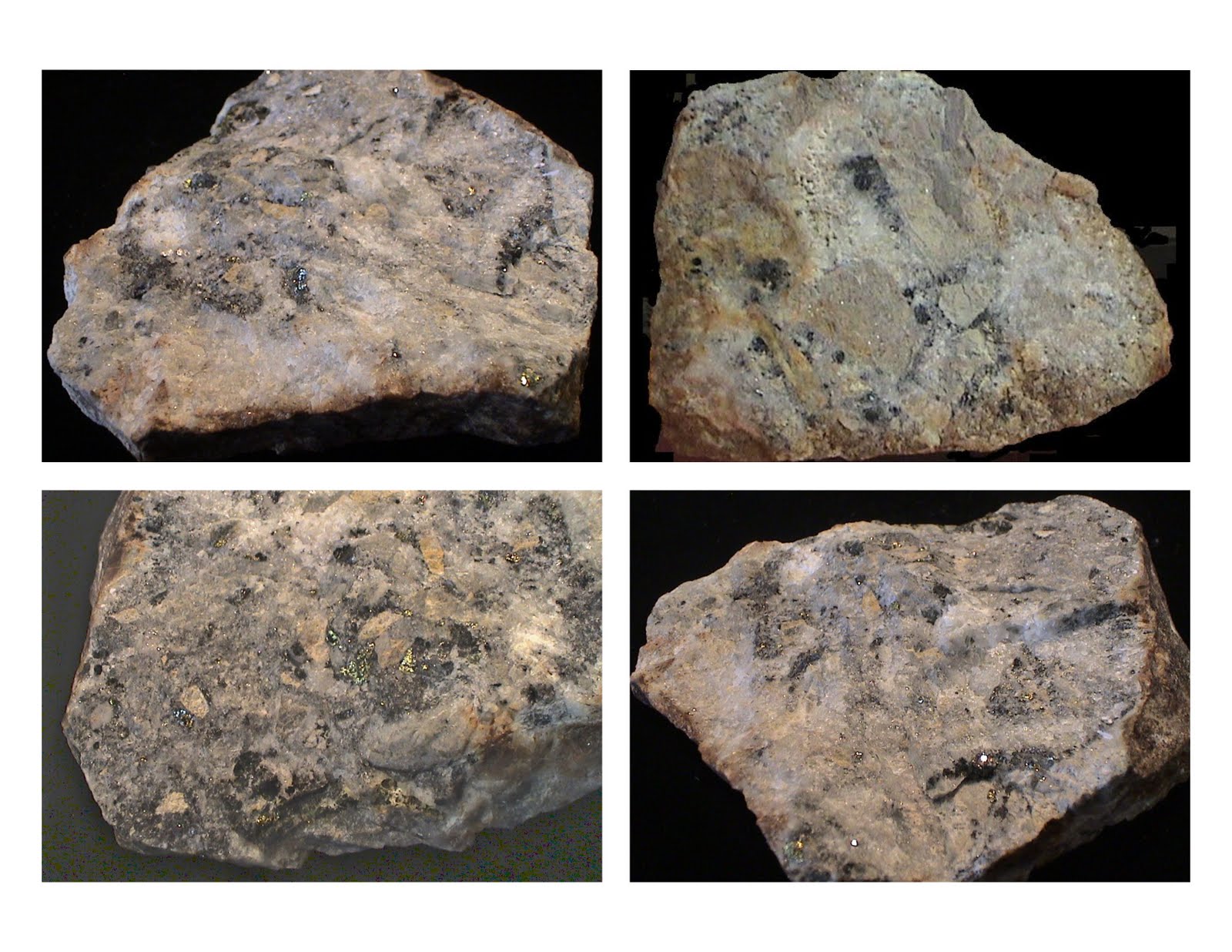 Comstock Gold: Typical N Comstock High Grade Silver-Gold Ore