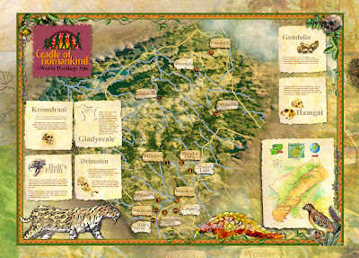 Christine's Design Portfolio: Cradle of Humankind Posters