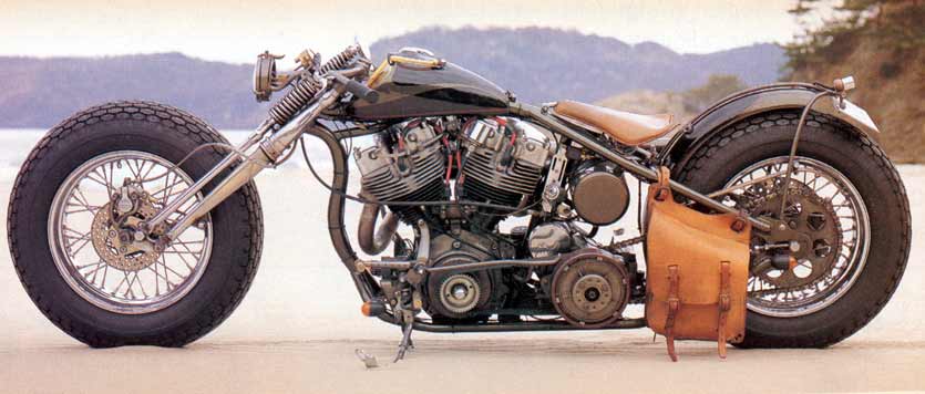 Costume of Provocation: Zero Chopper Spirit