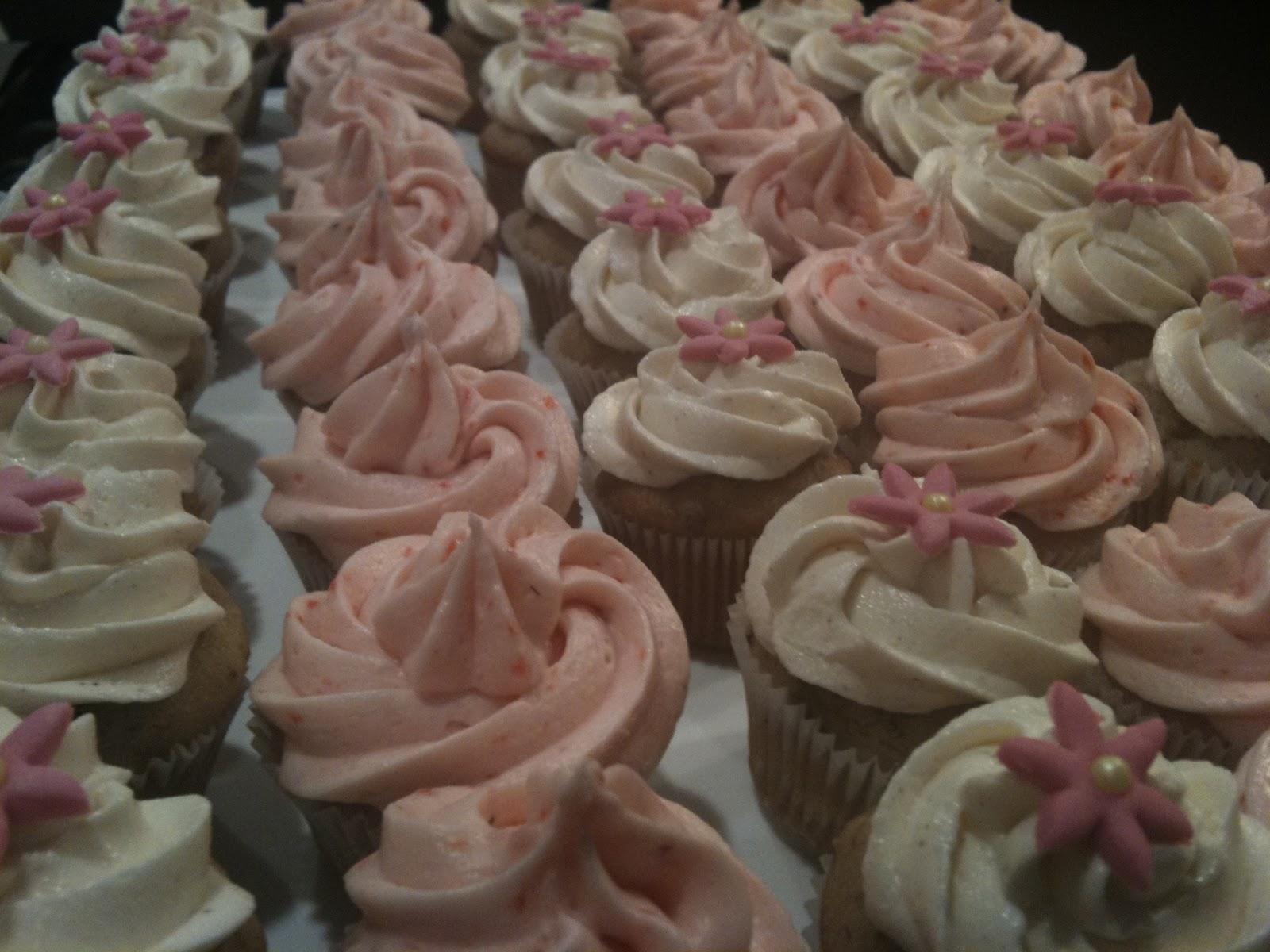 Mrs. Savvy Mama: Cuppy Cakes!