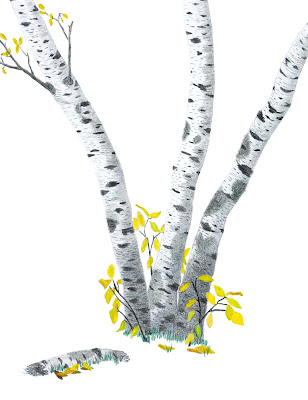 embrace the pretty: a forest of birch