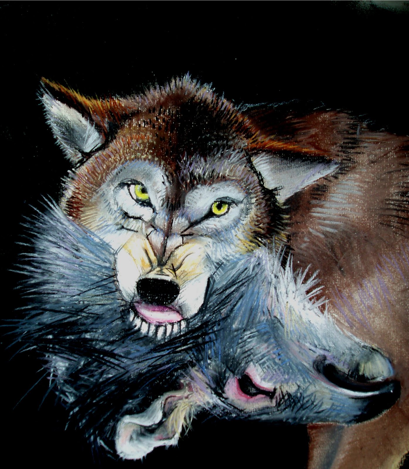 Spencer Noel McIntosh Designs and Illustrations