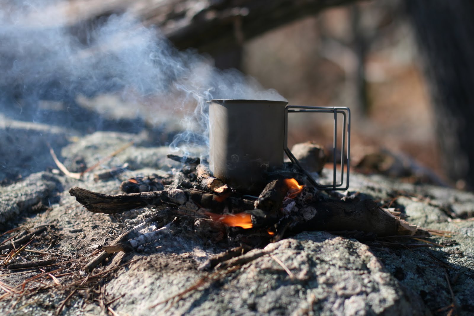 Wood Trekker: How to Prepare Acorns in the Woods
