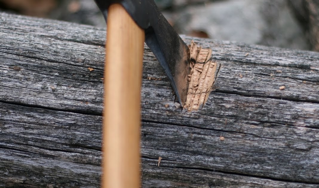 Wood Trekker: Chopping Down a Big Tree With a Small Axe
