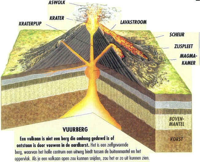 Het bestaan van God: Hoofdstuk 4.2: Gaat evolutie niet tegen de Bijbel in?