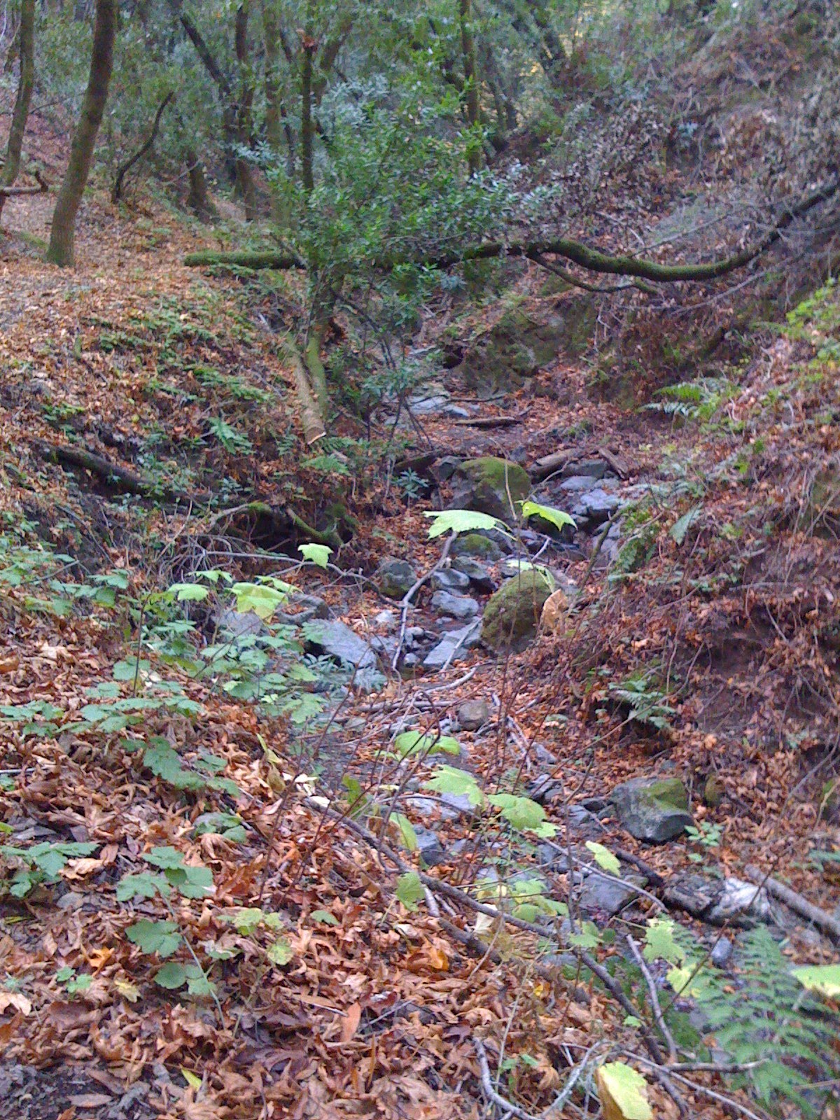 Seeking My Life: Almaden Quicksilver County Park: Worth the Walk, Part ...