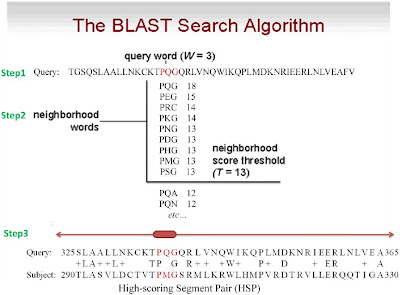 MicroMeta: Protein sequence search and classification (A reflection on ...