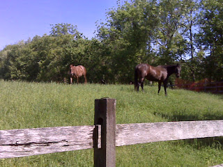 Racy Runners: Where was BRUCE? A Trek Through Colts Neck Looking for ...