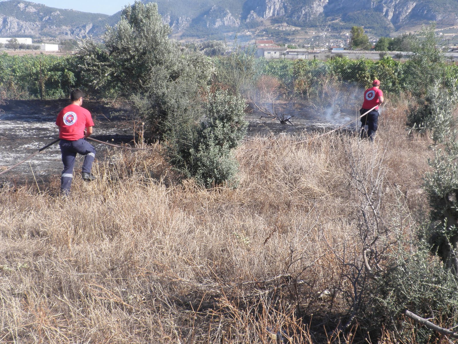 ΔΙΑΣΩΣΤΙΚΟ ΣΩΜΑ ΠΗΓΑΣΟΣ: Ιουλίου 2010