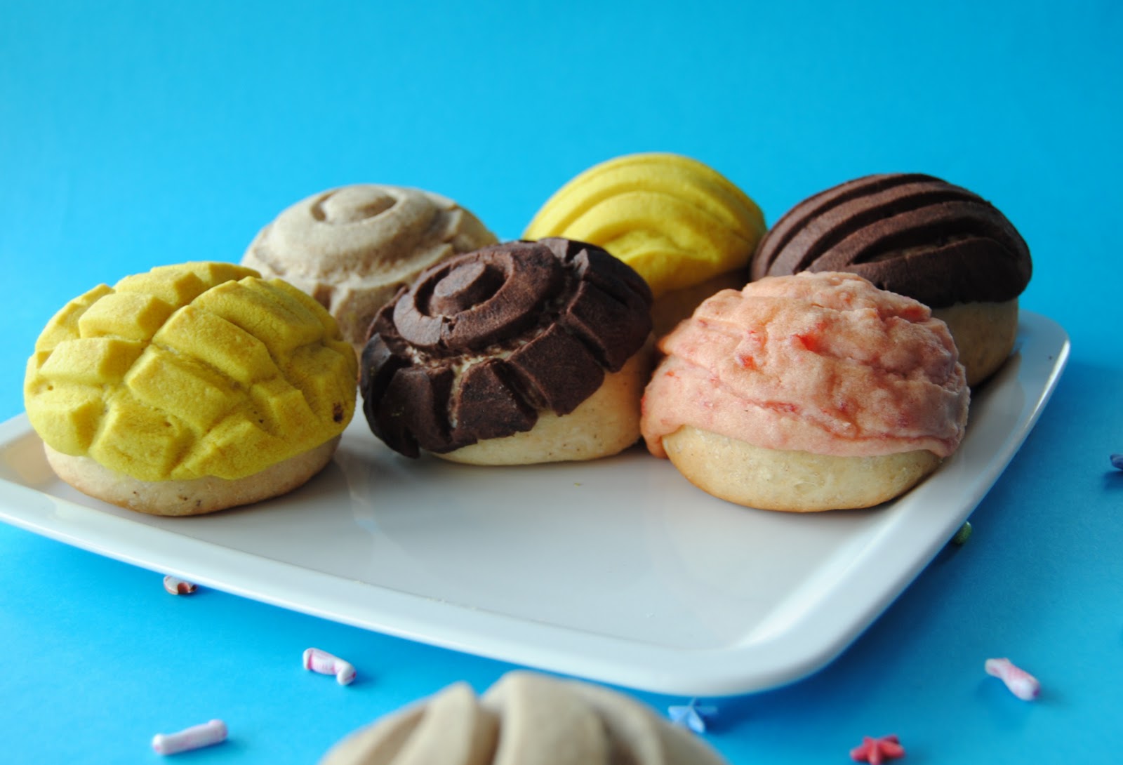 La casa de vainilla: Conchas