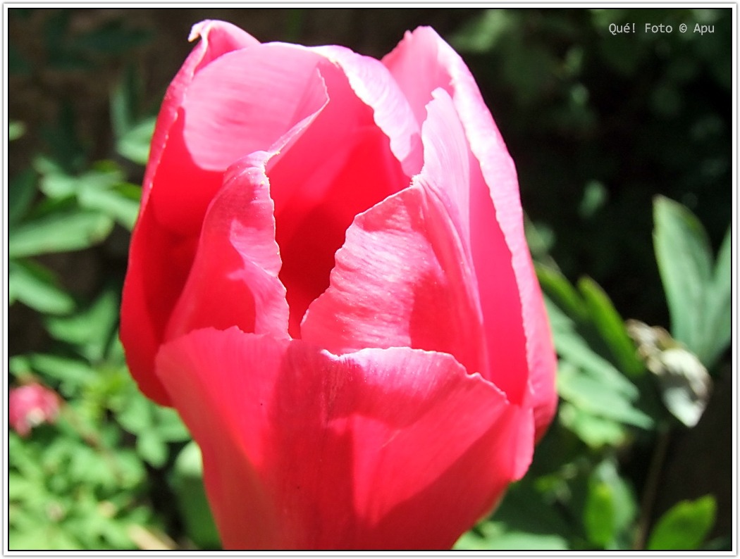 APU Barcelona VeoDigital : julio 2010